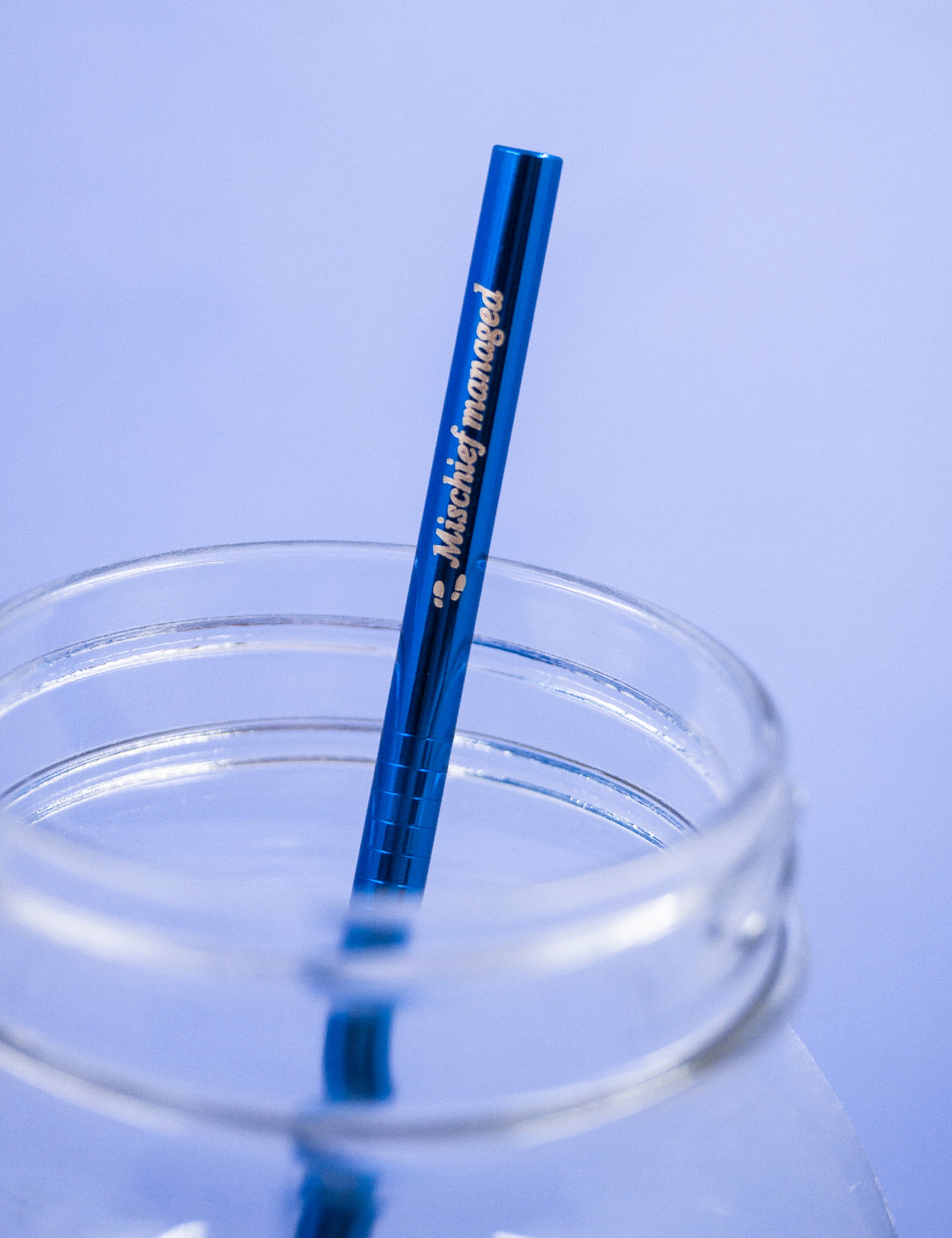 Mischief managed - Stainless steel Straws – Joanna Behar